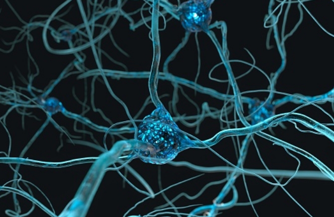 Wolfram Syndrome | Amylyx